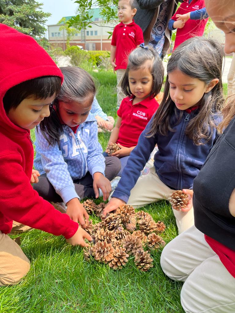 Montessori Outdoor Exploration: Nature-Based Activities for Each Age ...